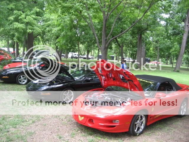 98 Firehawks - The Official Firehawk Message Board