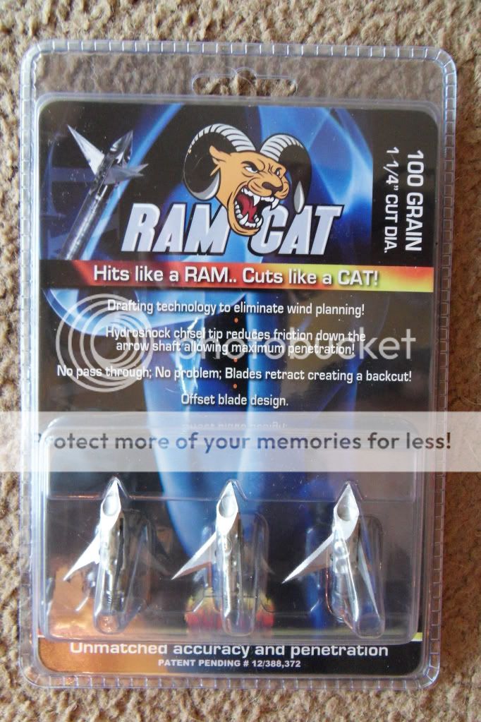 Smoke Ram Cat Broadheads! | Archery Talk Forum