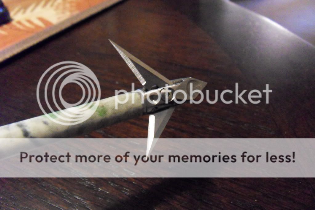 Smoke Ram Cat Broadheads! | Archery Talk Forum