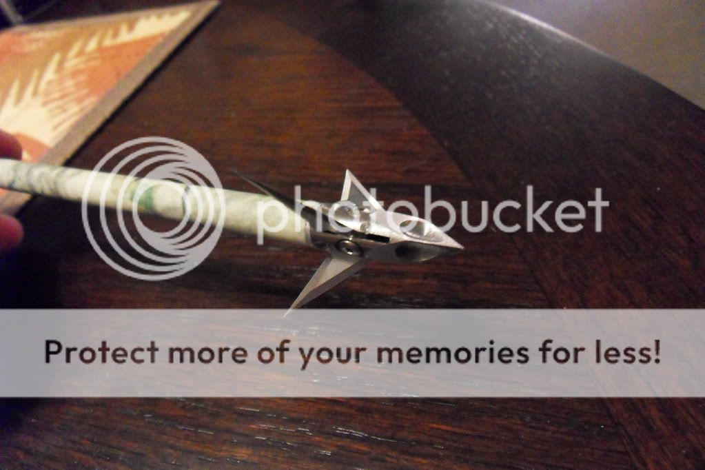 Smoke Ram Cat Broadheads! | Archery Talk Forum