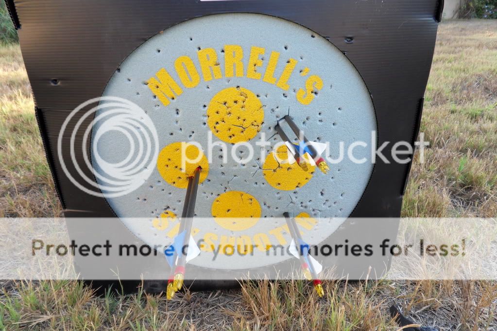 Smoke Ram Cat Broadheads! | Archery Talk Forum