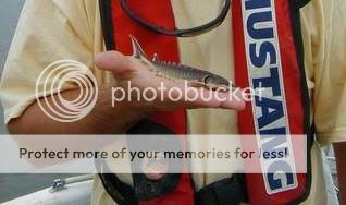 Delaware River Fish Species | BASS BARN